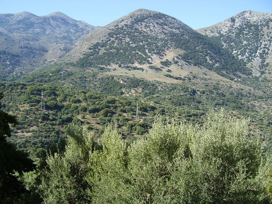 Νόστιμον ἦμαρ...
