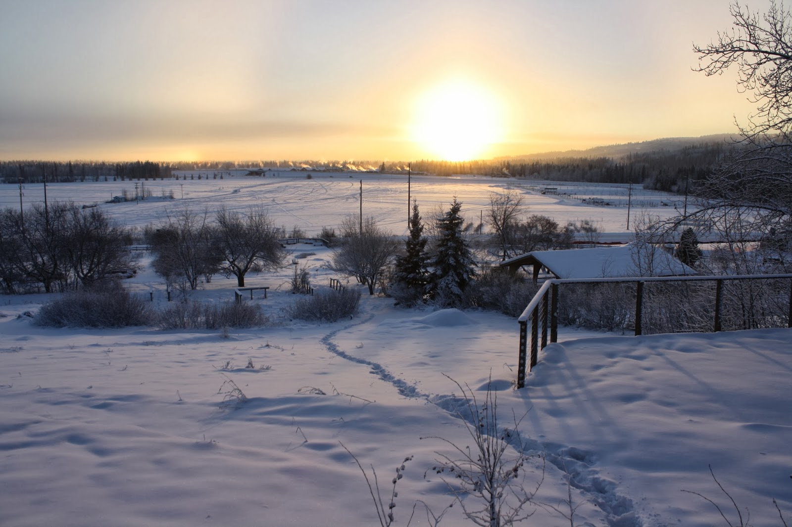 UAF Trails and Greenways: Winter Walk