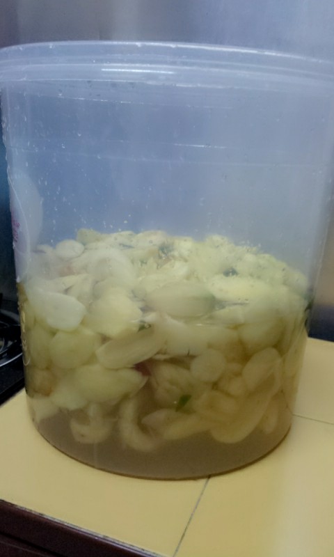 ~Liemaopurut~: Homemade Jeruk Mempelam