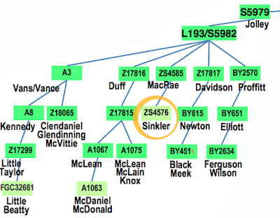 StClair DNA: Happy Father’s Day to the Sinclair DNA Study