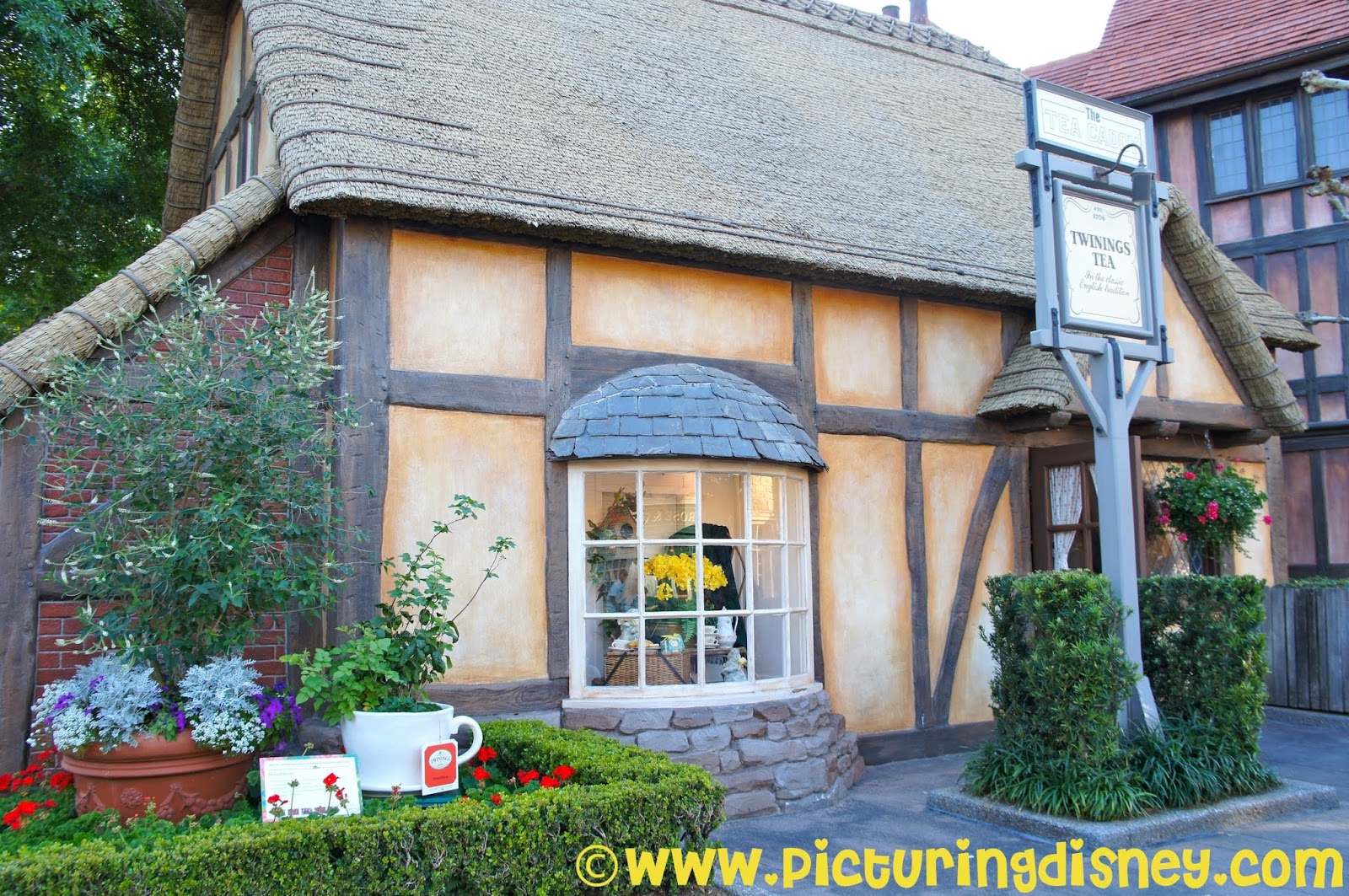 Picturing Disney: Epcot Close Up: Tea Garden Tour