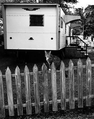 Los Grandes Fotografos: Larry Silver (1934)