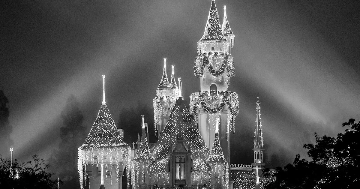 Disney Photoblography