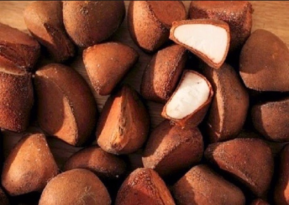 Ervas e Insumos: Andiroba Semente