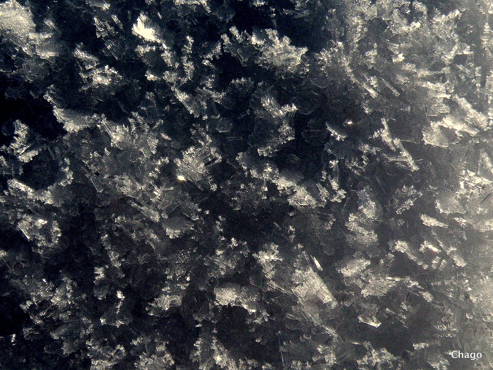 Mores Creek Summit Backcountry Skiing: "Facetnating" Near-Surface ...