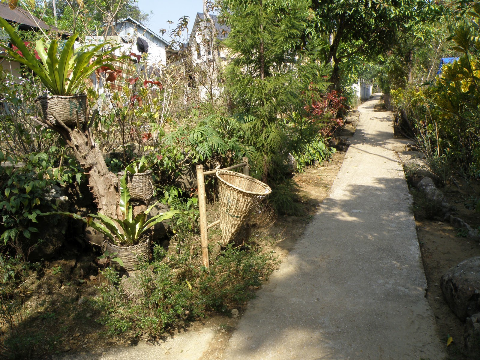 MULLED INK: Travel: Mawlynnong ~ the cleanest village in Asia