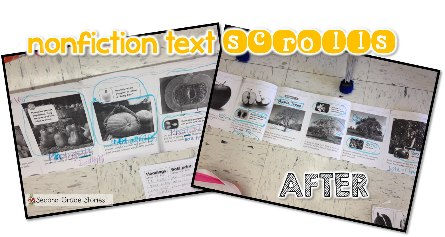 Text Mapping and Nonfiction Text Features - Second Grade Stories