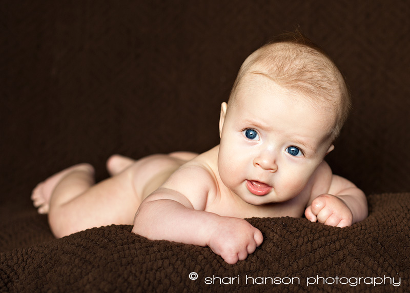 Shari Hanson Photography: January 2012