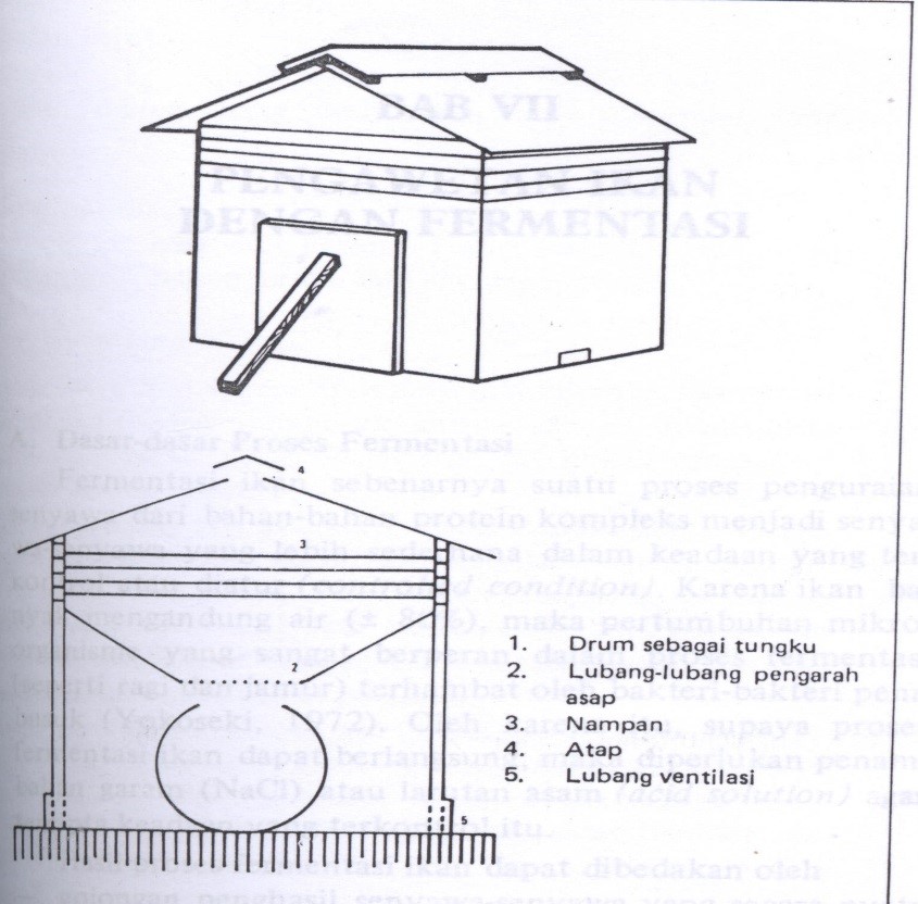 M-Fishery: TEKNIK PENGASAPAN IKAN