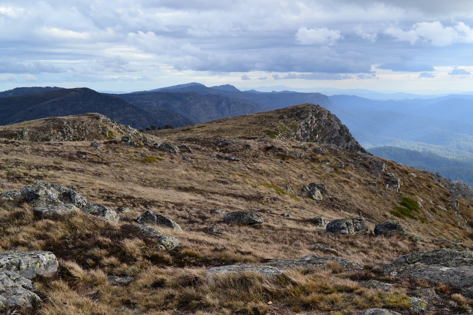 Goin' Feral One Day At A Time: Howitt & The High Country, Alpine ...