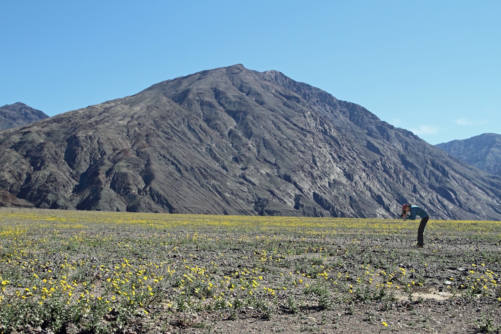 Written In Stone...seen through my lens: Death Valley Geology Calling ...