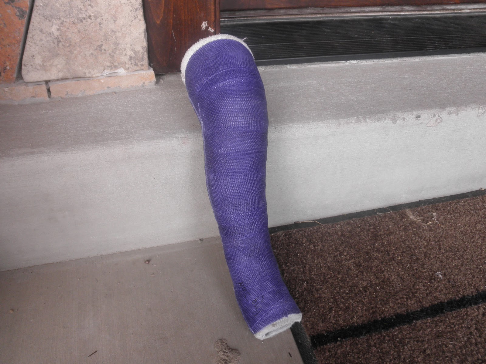 Fishes for Marrow Wishes: The Purple Cast Comes OffFishes for Marrow Wishes