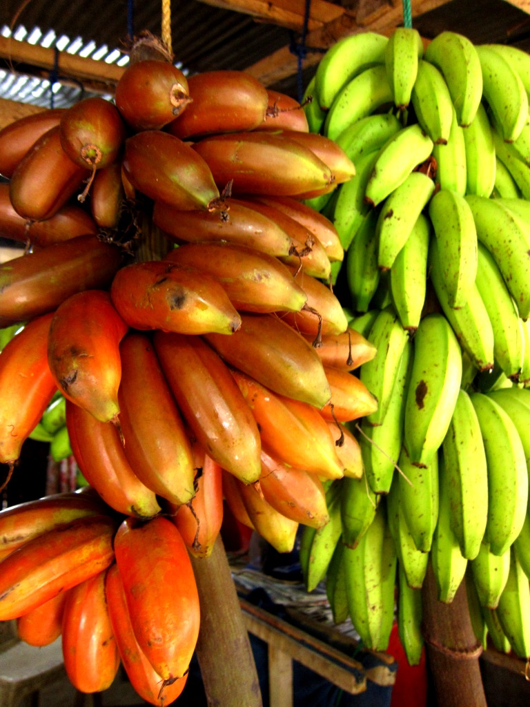 Travelholic: RED BANANA of Sri Lanka