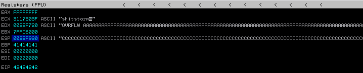 Buffer Overflow Fun with Brainpan 1