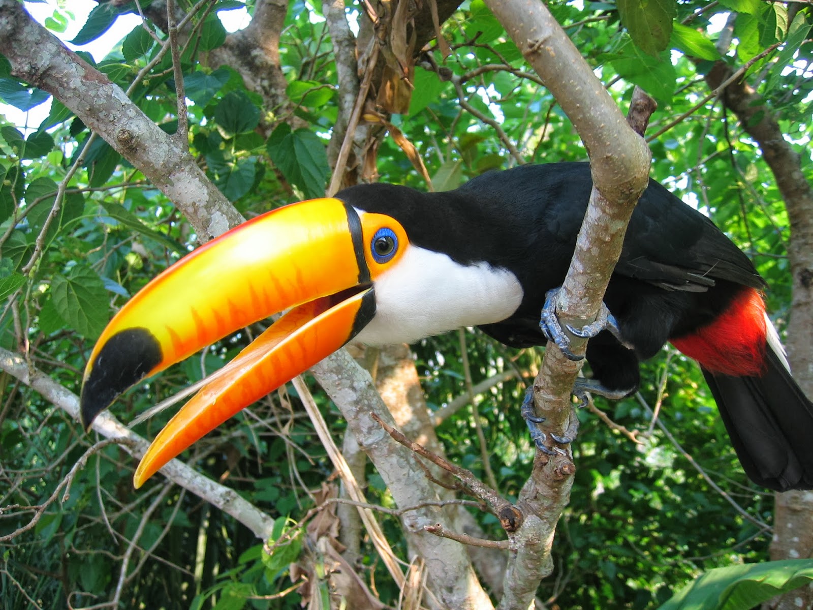 Agência Ygarapé Tour: Fotos fantásticas de Bonito para comemorar o Dia ...
