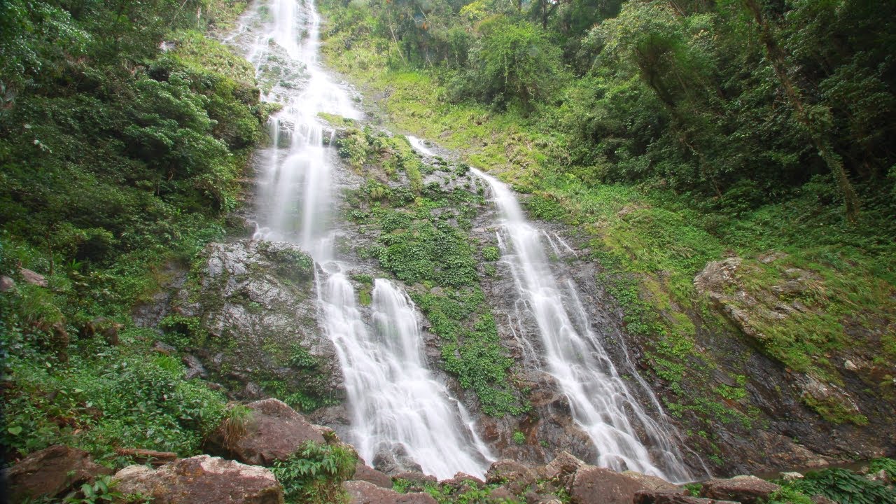 Jungle Tracking (Sabah State) - Malaysia Track
