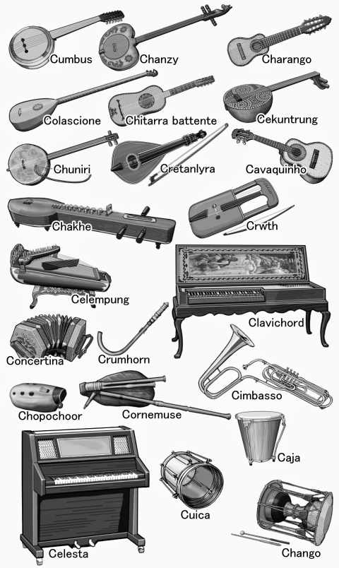 World musical instruments: C ... world musical instruments