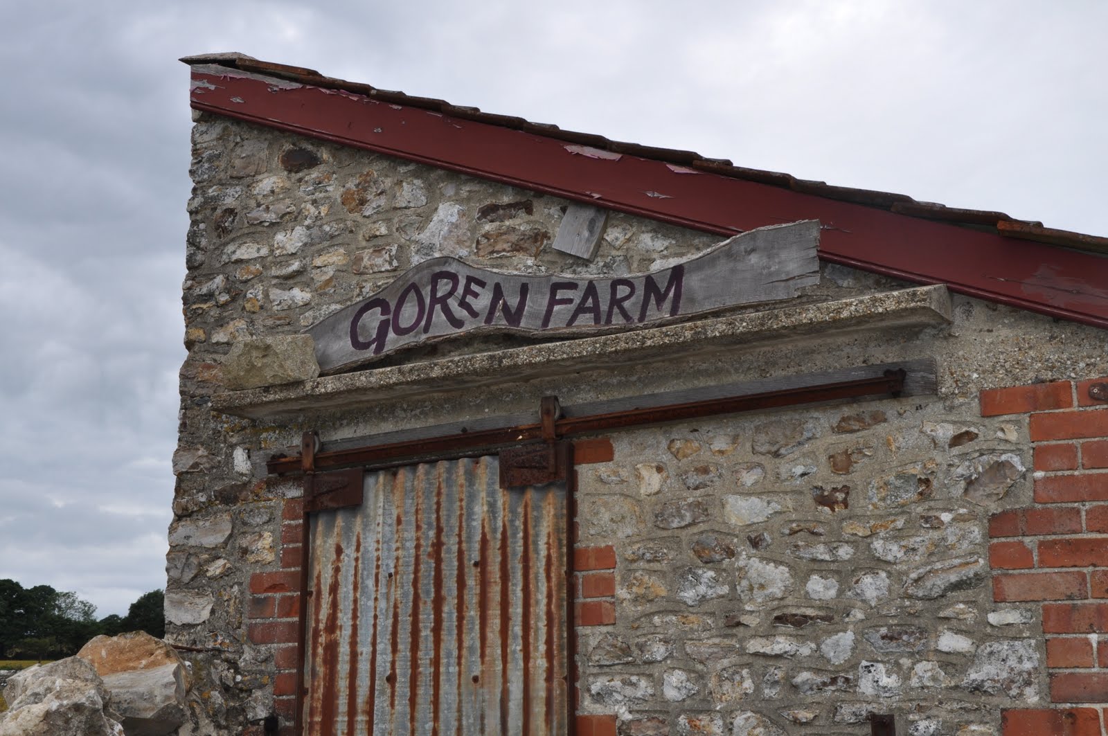 Cats, Dogs and Eiderdowns: Goren Farm, Part One