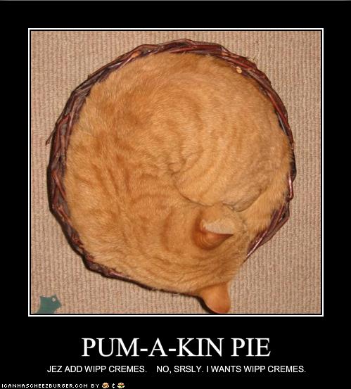 Funny Pie Quotes. QuotesGram