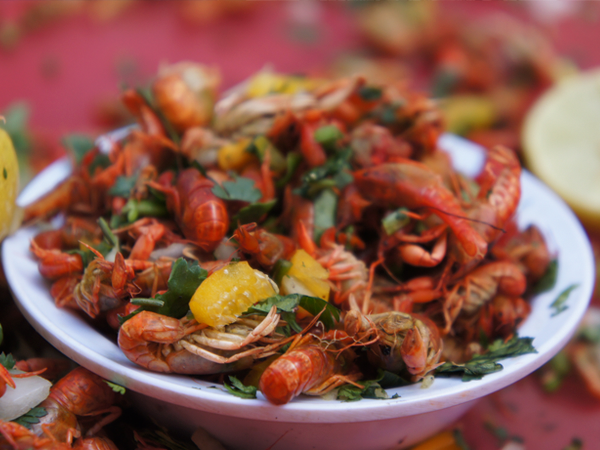 Opiniones de Cambarellus