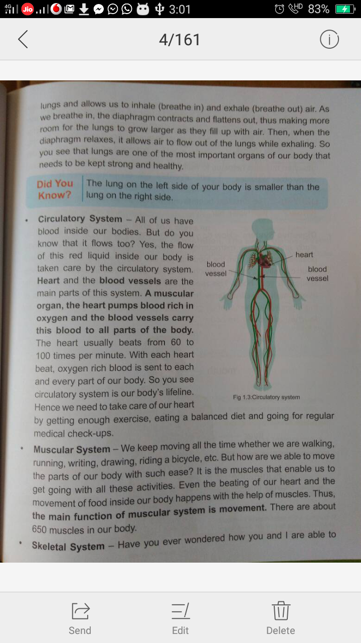 PIS VADODARA STD 4: EVS-HUMAN BODY SYSTEMS