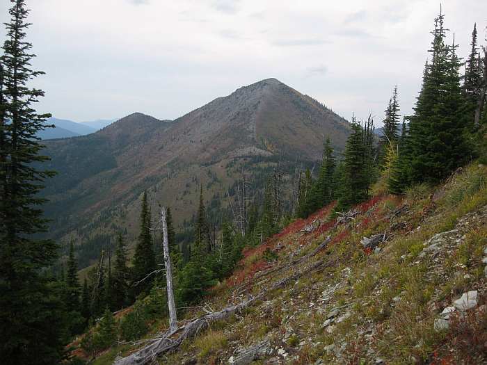 Tall Pines Hiker: Tuchuck Mountain