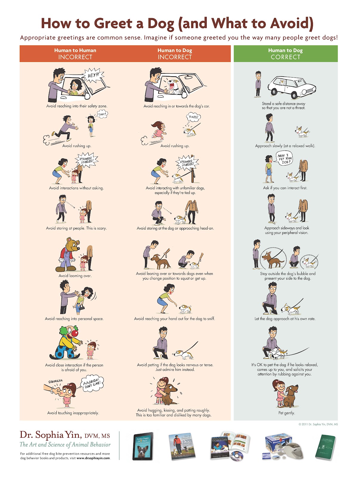 A Mastiff Blog: How to Properly Greet a Dog