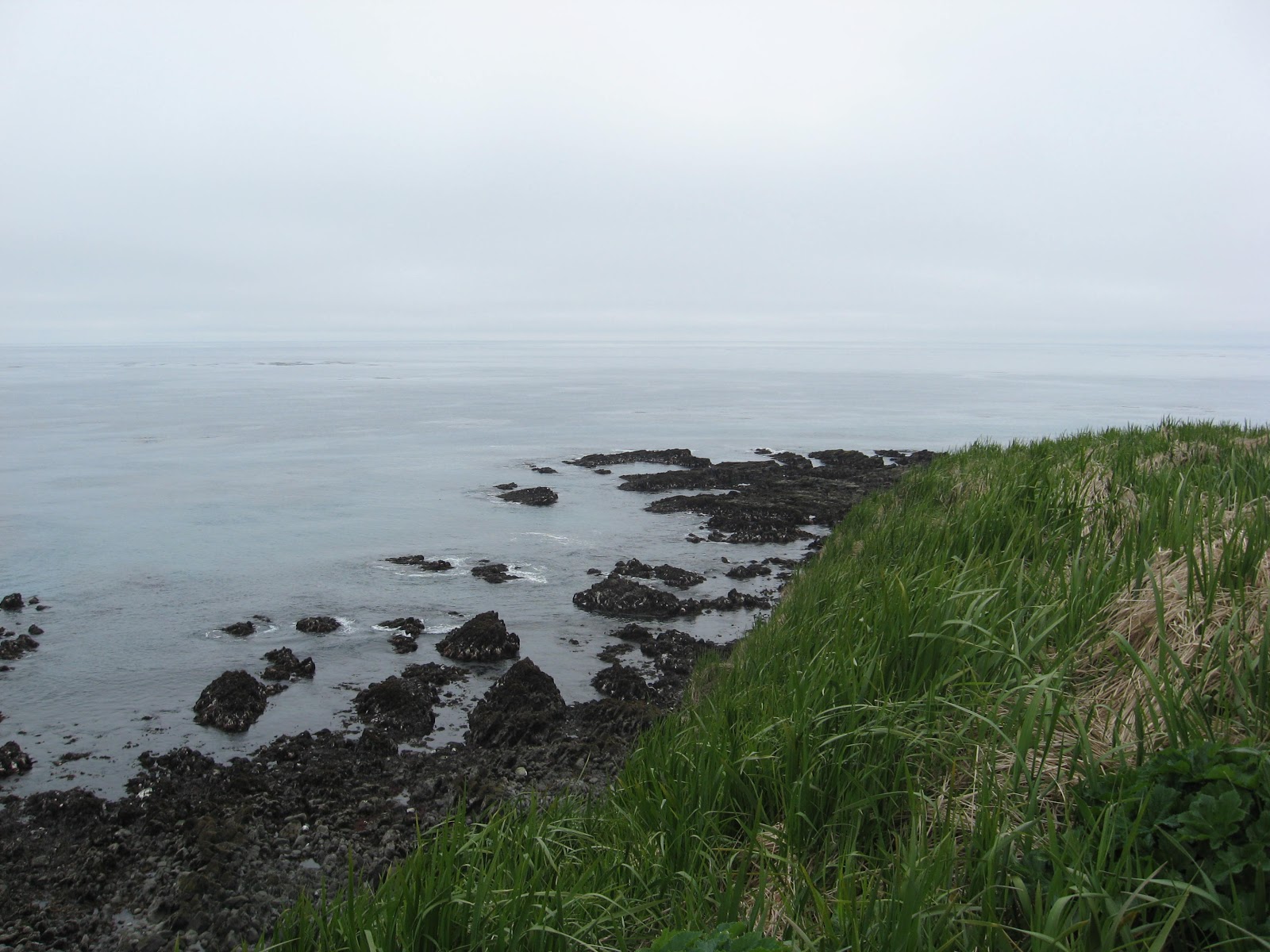 Alaska Romance Writers of America: Eareckson Air Station - Shemya, Alaska