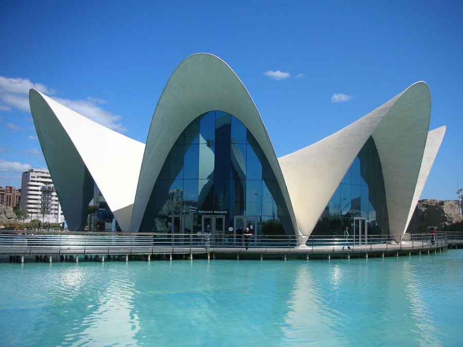 Conicas en la vida real