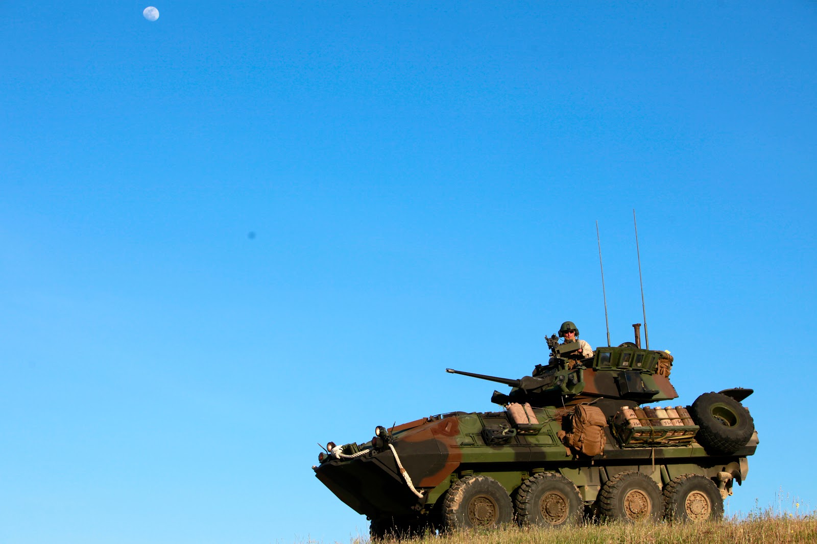 SNAFU!: What platform for the LAV-Next?