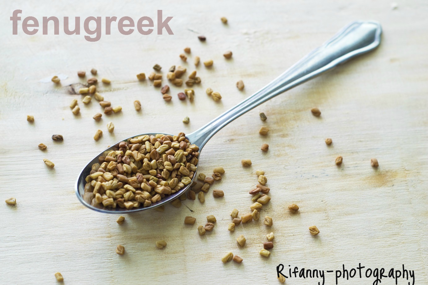 RHYTHM OF SHUTTER: Fenugreek