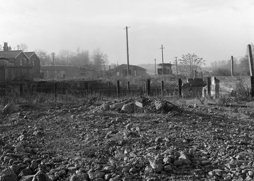 Rail Thing - Friends of the S&D: templecombe