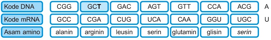 Pintar Pelajaran Pengertian Mutasi Gen Dan Kromosom Biologi, Penyebab ...