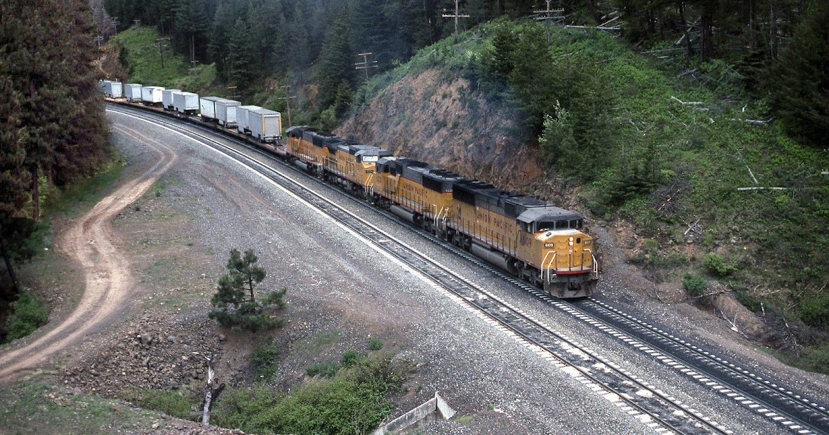 transpress nz: Union Pacific piggyback train