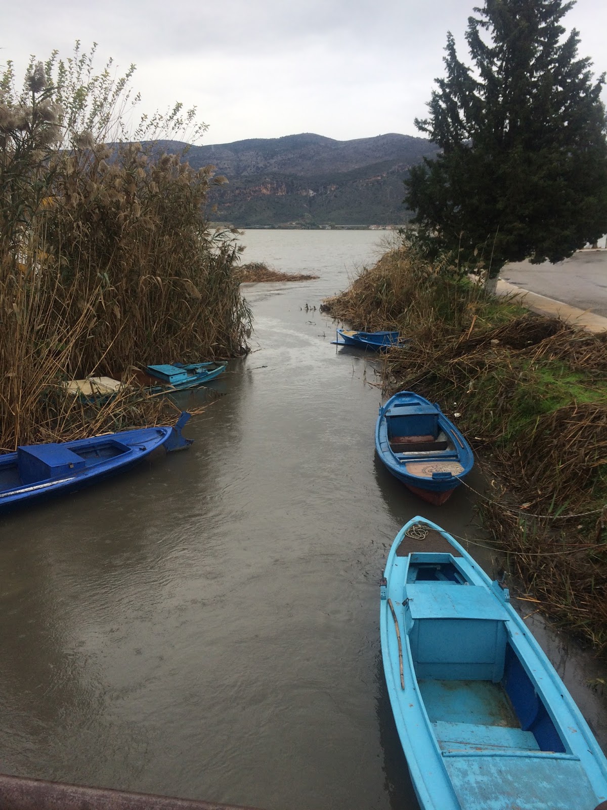 ΣΥΛΛΟΓΟΣ ΕΠΑΓΓΕΛΜΑΤΙΩΝ ΑΛΙΕΩΝ ΛΙΜΝΟΘΑΛΑΣΣΑΣ ΑΙΤΩΛΙΚΟΥ-ΜΕΣΟΛΟΓΓΙΟΥ "ΤΟ ...