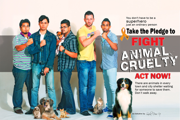 Sarlaz-Community Campaign: Animal Awareness Campaign