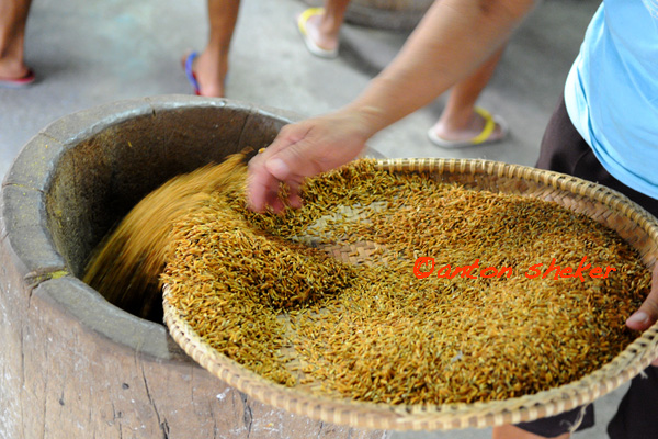 Duman Festival Philippine Festival