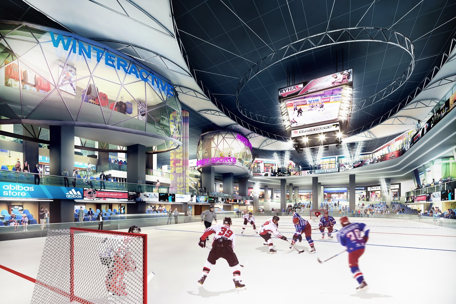 Ice Rink Project | AHA Visualizer