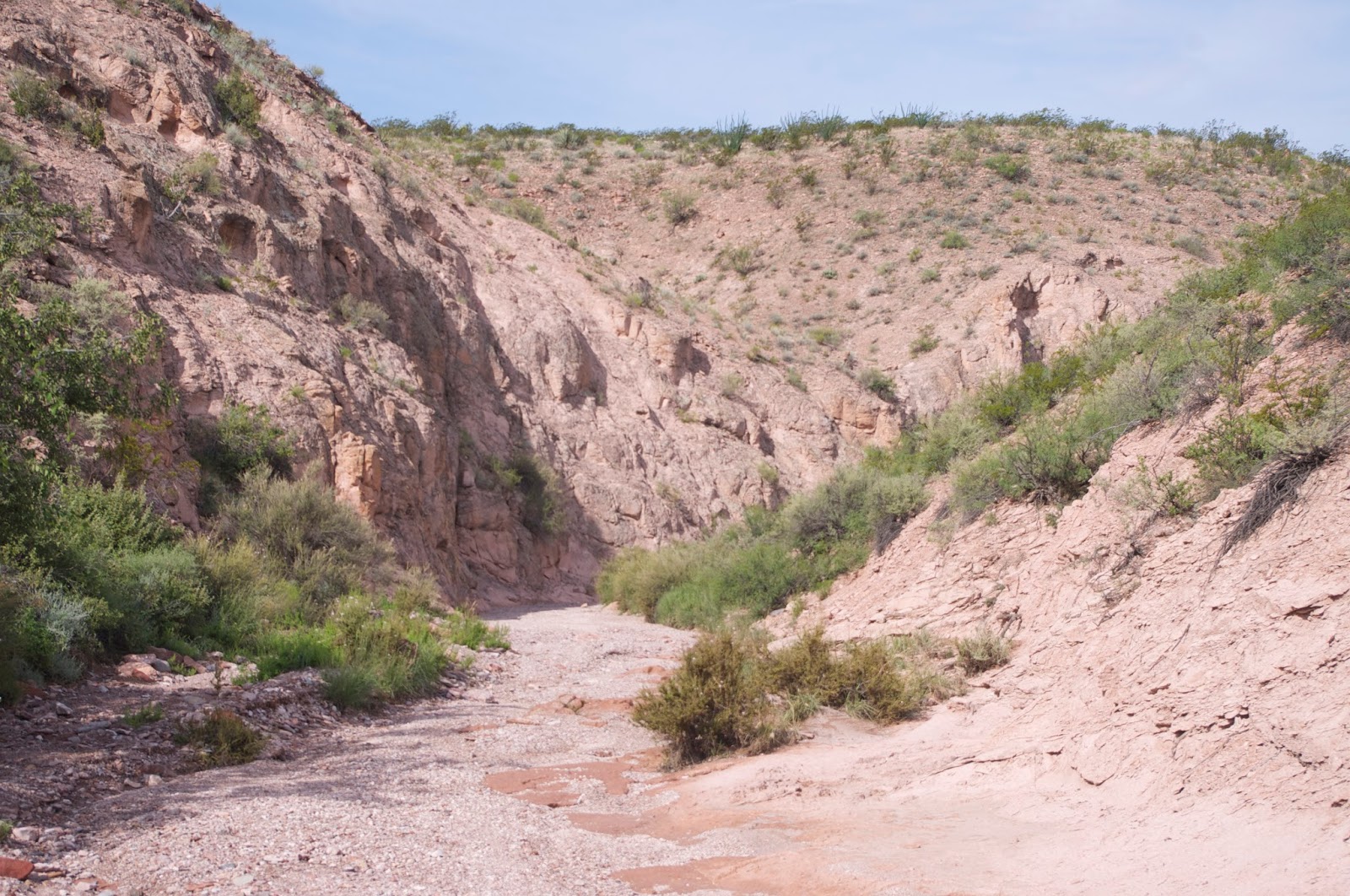 Southern New Mexico Explorer: Outlaw Rock, Faulkner Canyon - Organ ...