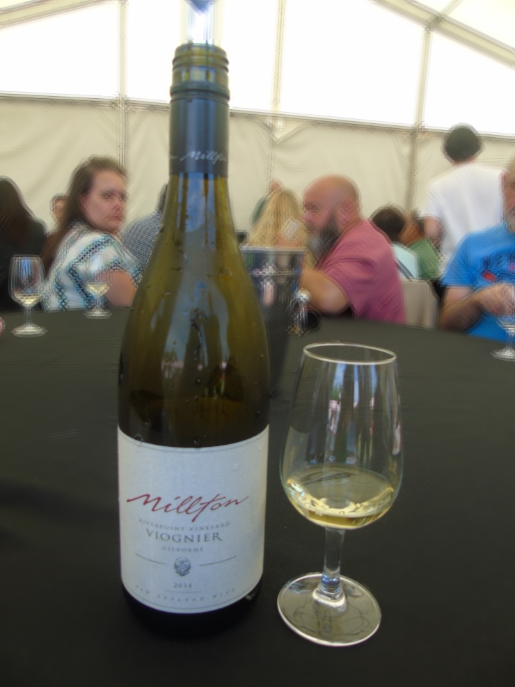 Focus on New Zealand wine