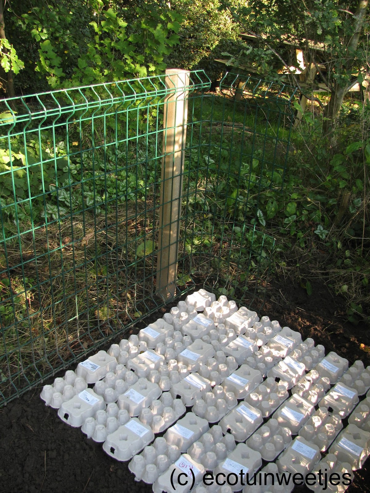 Ecotuinweetjes: Kartonnen eierdoosjes hergebruiken voor composthoop