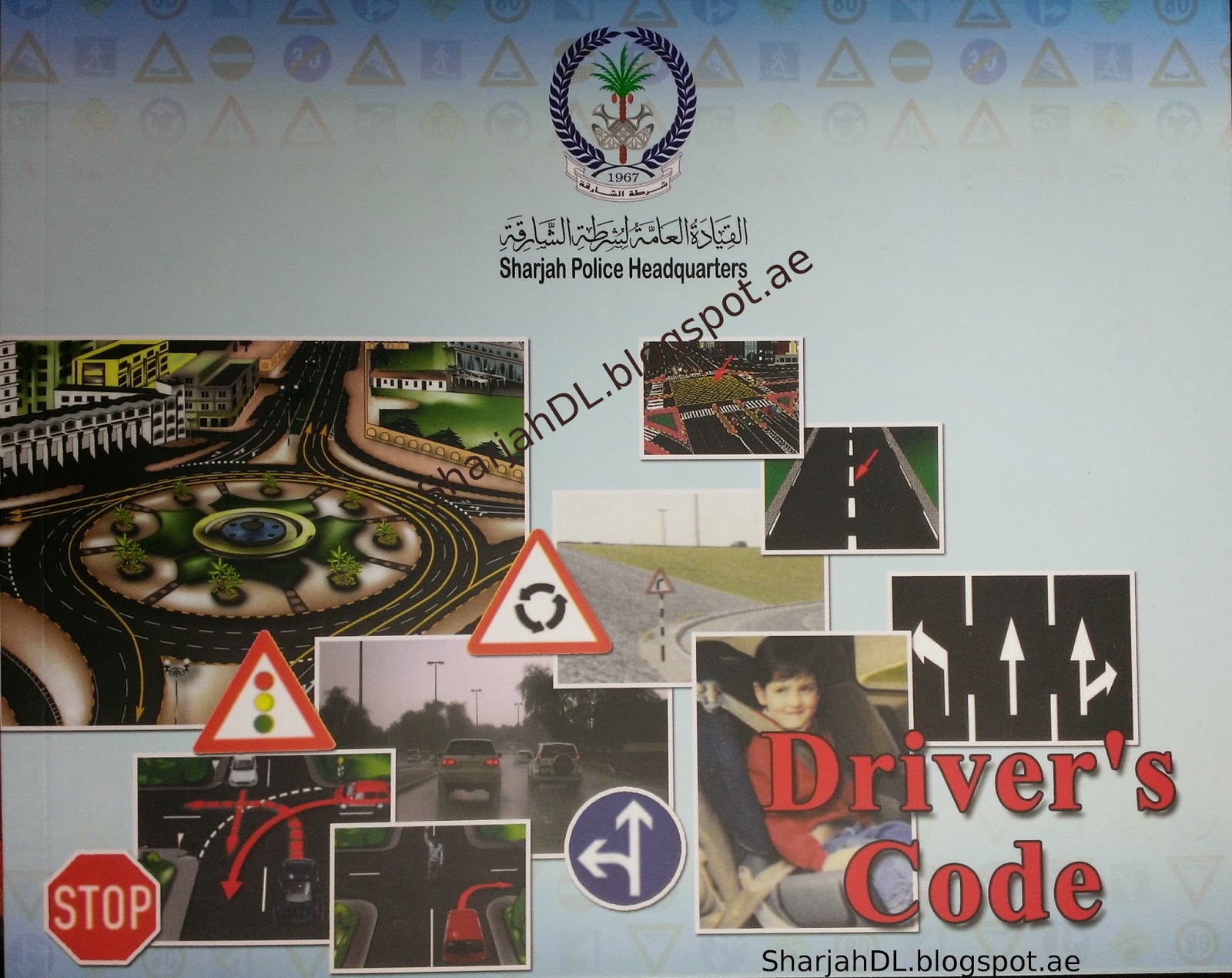 UAE Driving Licence