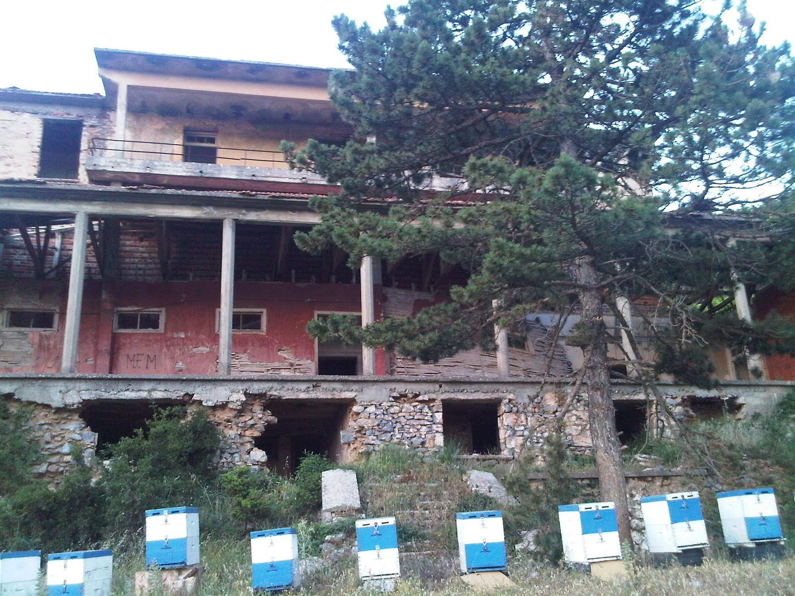 NEWS MESSINIA - ΜΕΣΣΗΝΙΑΚΑ ΝΕΑ και ΕΙΔΗΣΕΙΣ: Το Νοσοκομείο Καλαμάτας ...