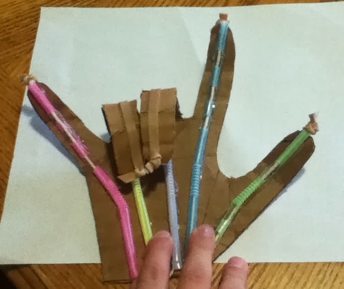 "Be The One" : Apologia Anatomy & Physiology Unit Three: Build A Model ...