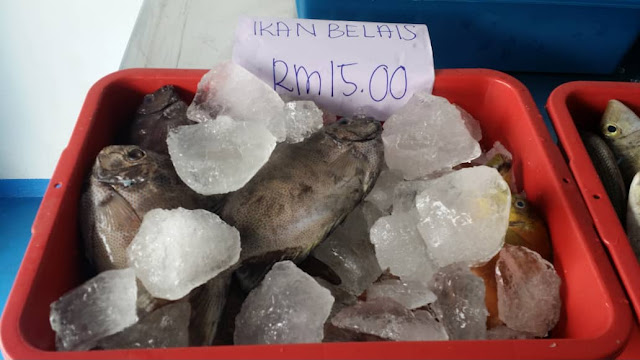 Jalan-Jalan Cari Ikan di Tabanac Freshmart - Amie's Little Kitchen