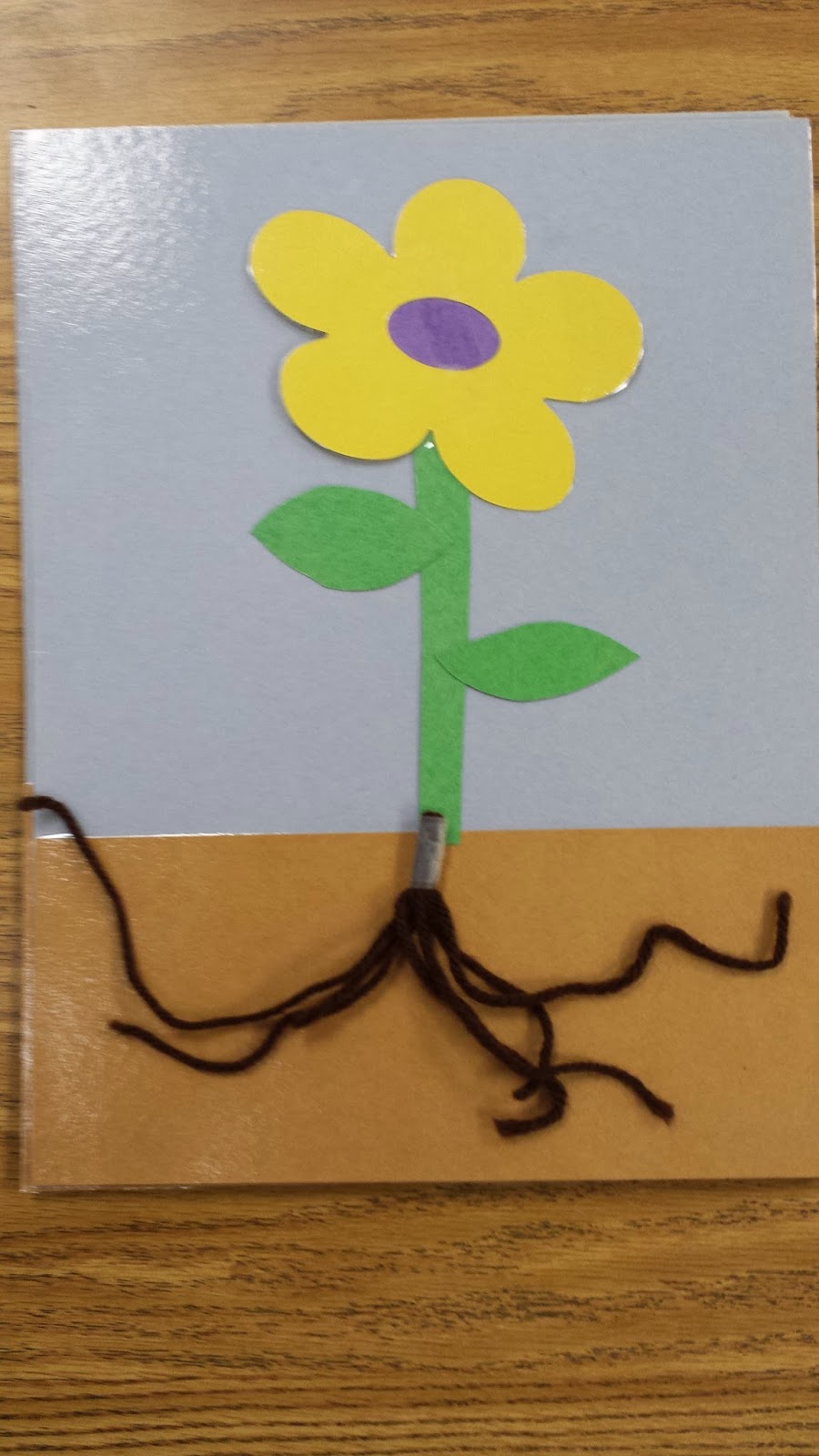 Teacher Time with Mrs. Adams: Parts of a Flower