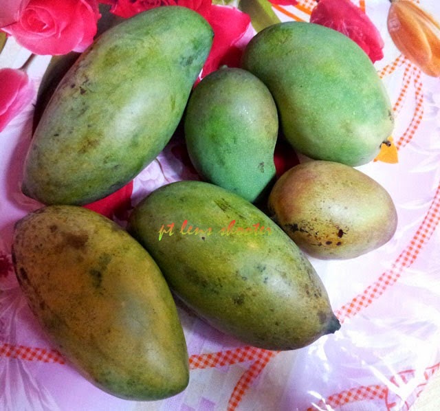 Sesawang Maya WarnaSari (ส่าหรีสี) : Mempelam Datang Lagi