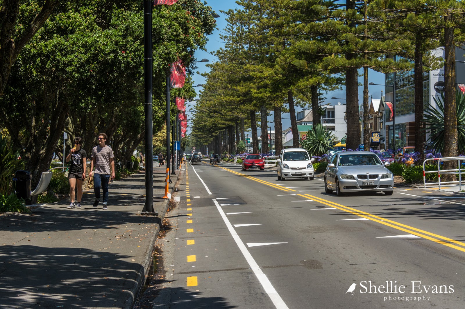 Two Go Tiki Touring: Nine Weeks in Napier- Part 1; Out & About