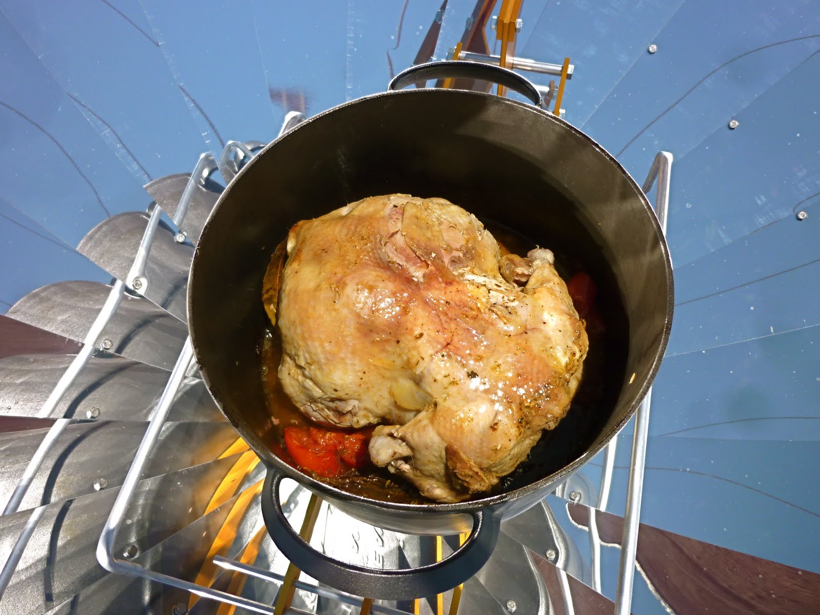 Captura de Fotones: Pollo solar al ajillo con tomate