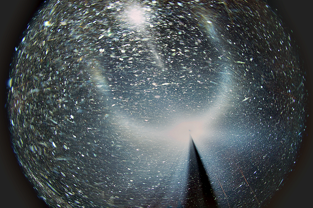 The Halo Vault: Blue subsun